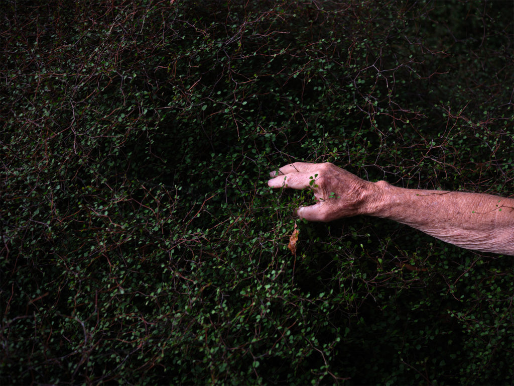 August 2021 — North & South Magazine