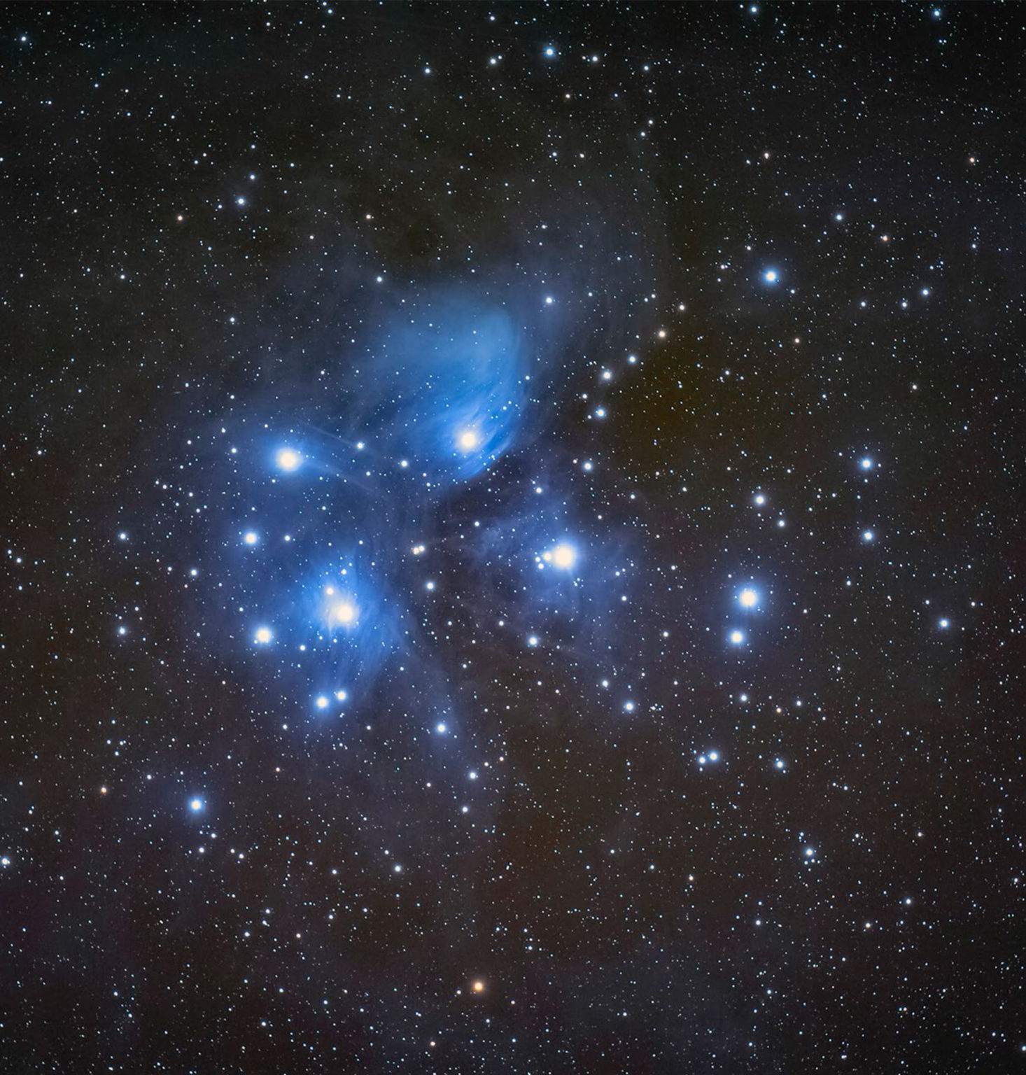 Rising Star — North & South Magazine