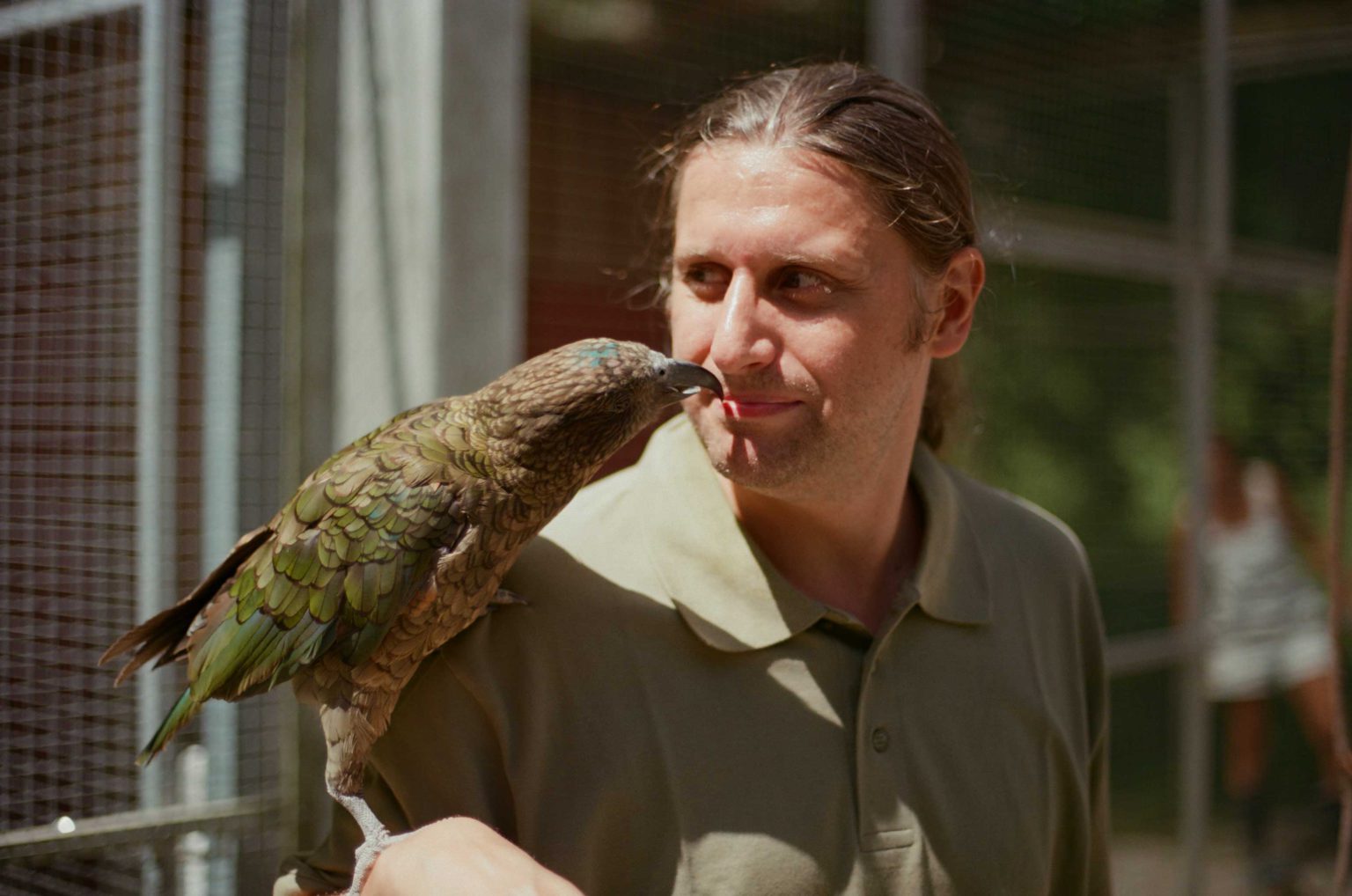 A Foreign Flock — North & South Magazine